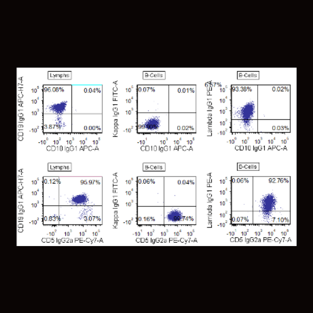Flow Cytometry – IMD